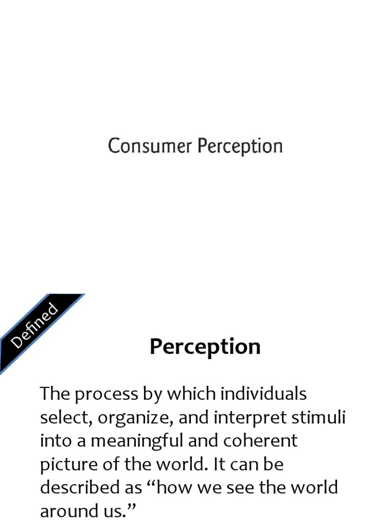 Perception | Download Free PDF | Perception | Senses