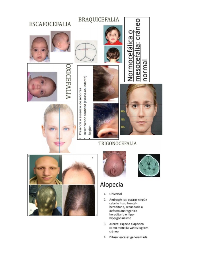 Examen Fisico Cefalo-Caudal | PDF
