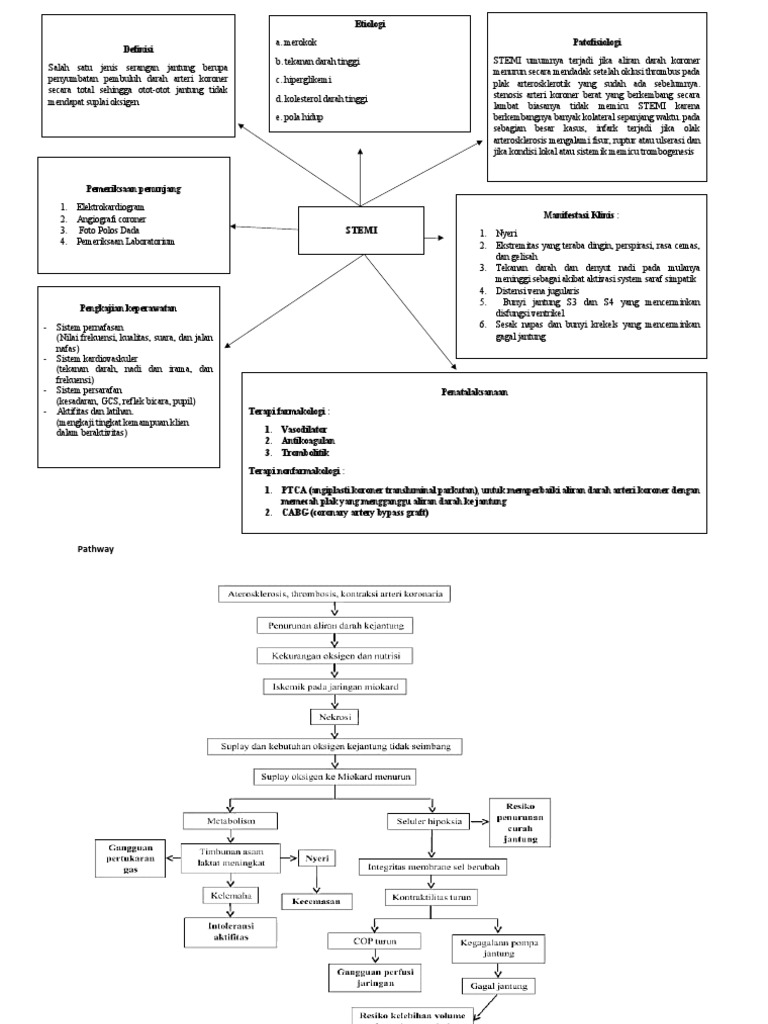 LP Stemi - Yulia Prastikha | PDF