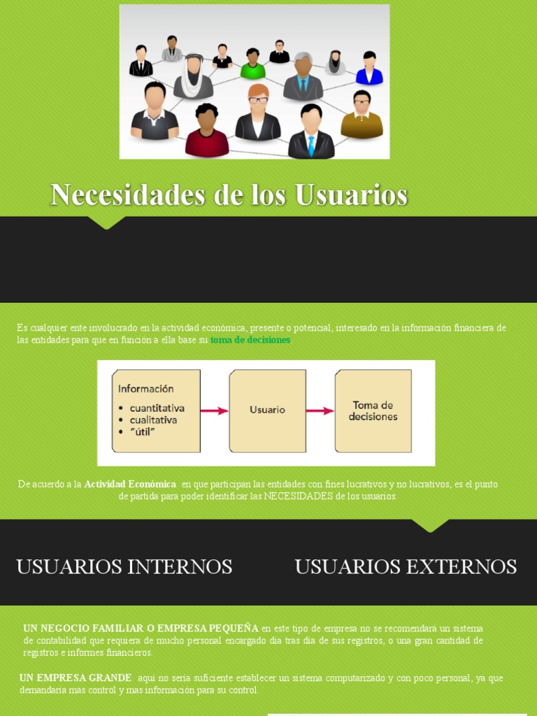 Usuarios de La Informacion | Descargar gratis PDF | Contabilidad | Business