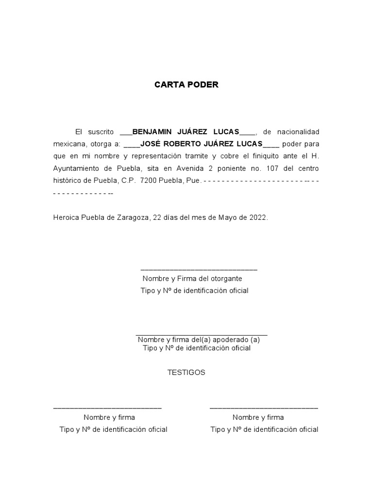 Carta Poder Simple | PDF