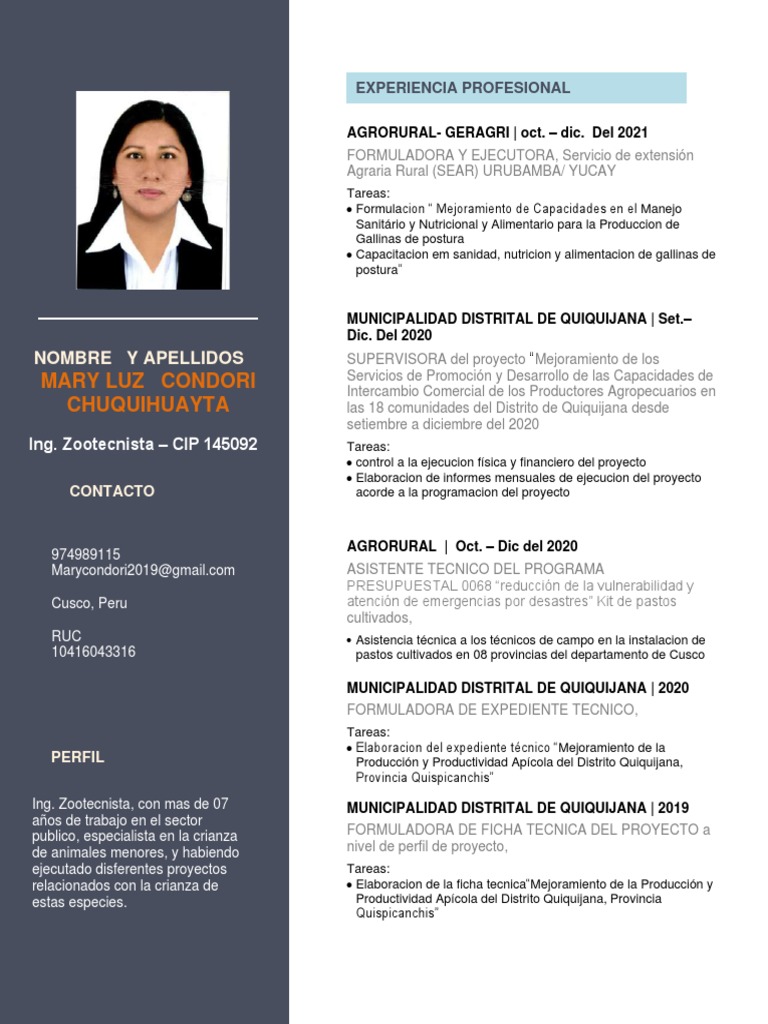 Cv. Mary Luz Condori Ch. | PDF