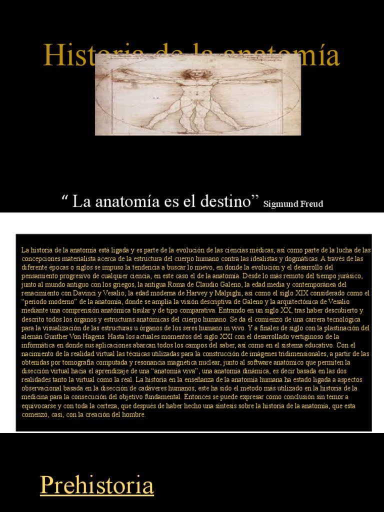 Historia De La Anatomía Pdf Anatomía