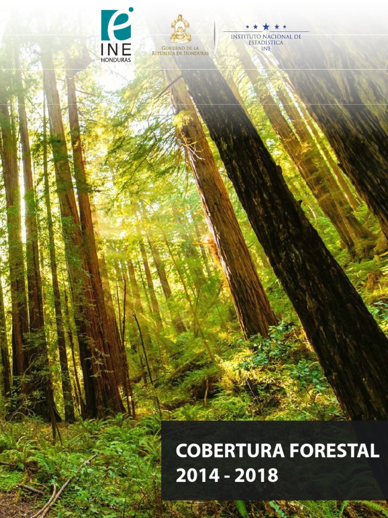 Cobertura Forestal en Honduras 2014-2018 | PDF | Los bosques | Mangle