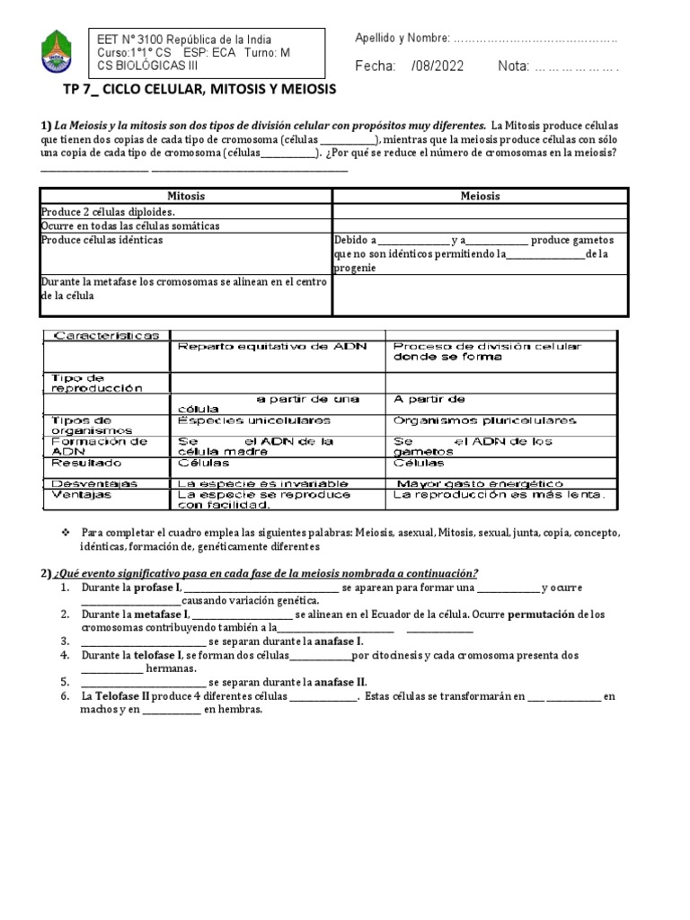 TP7 Meiosis | PDF | Mitosis | Mitosis