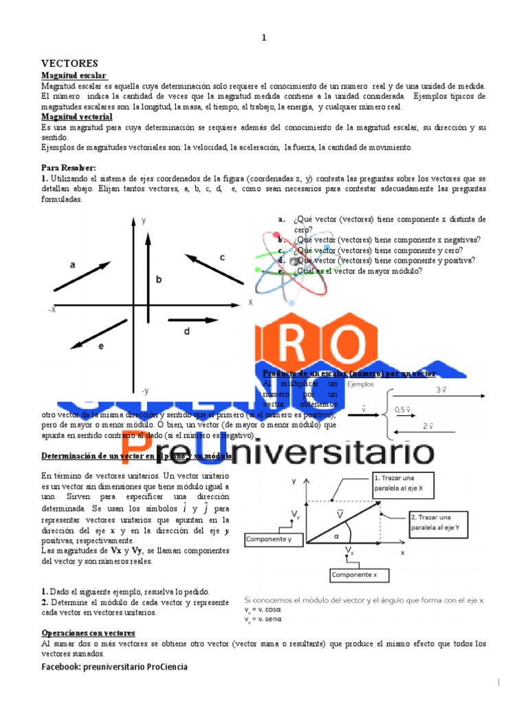 Taller Fisica Vectores Pdf Vector Euclidiano Aceleración
