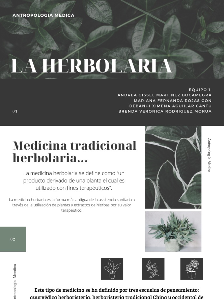 La Herbolaria | PDF | Medicina | Plantas medicinales