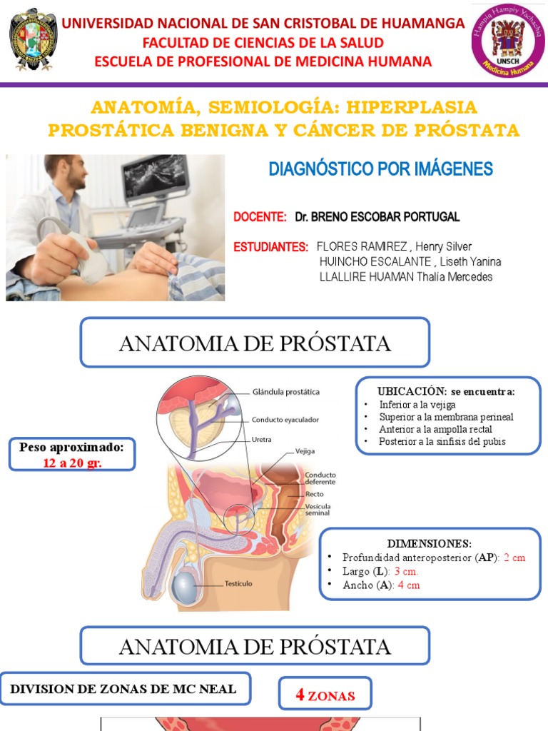 Anatomía, Semiología, Hiperplasia Prostática Benigna y Cáncer de ...