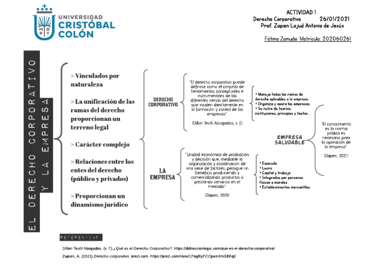 ACTIVIDAD 1. Cuadro Sinóptico - Tema Libre | PDF | Business | Economias