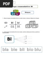 Cuadernillo BR - BL | PDF