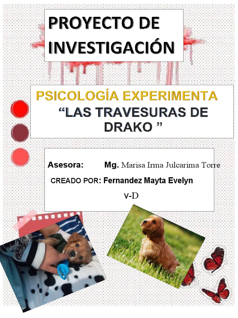 Las Travesuras de Drako 2 | PDF | Ciencia cognitiva | Sicología