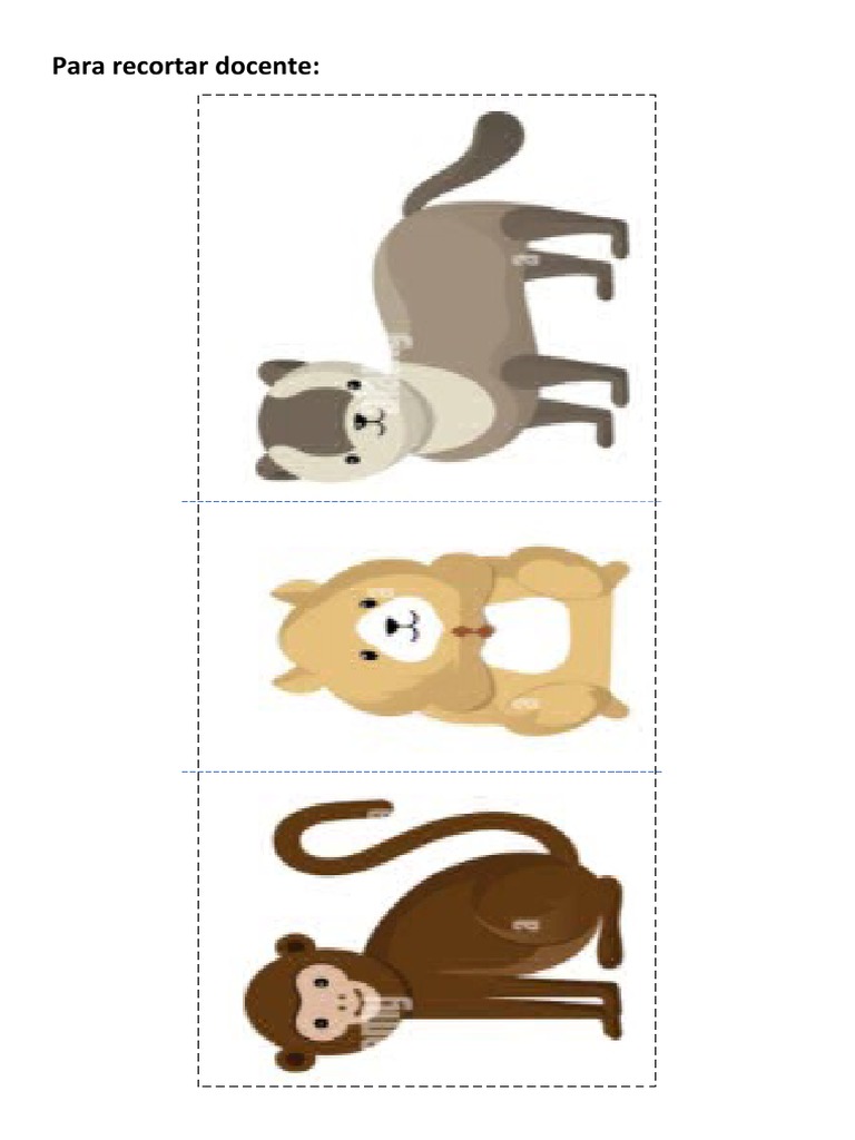 Instrucciones y actividades variadas sobre animales para niños en edad ...