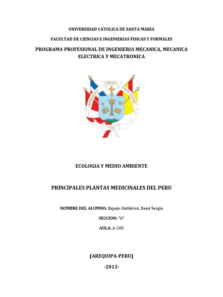 Plantas Medicinales Del Peru | PDF | Plantas medicinales