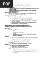 Cultural Clay Mask Art Project Plan | PDF | Mask | Lesson Plan