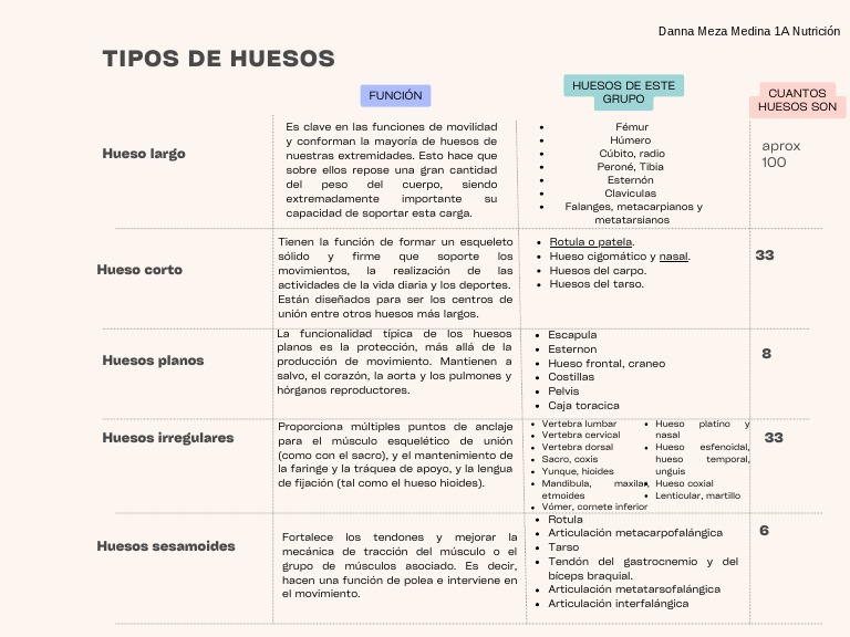 Cuadro Comparativo Tipo de Huesos | PDF | Hueso | Esqueleto