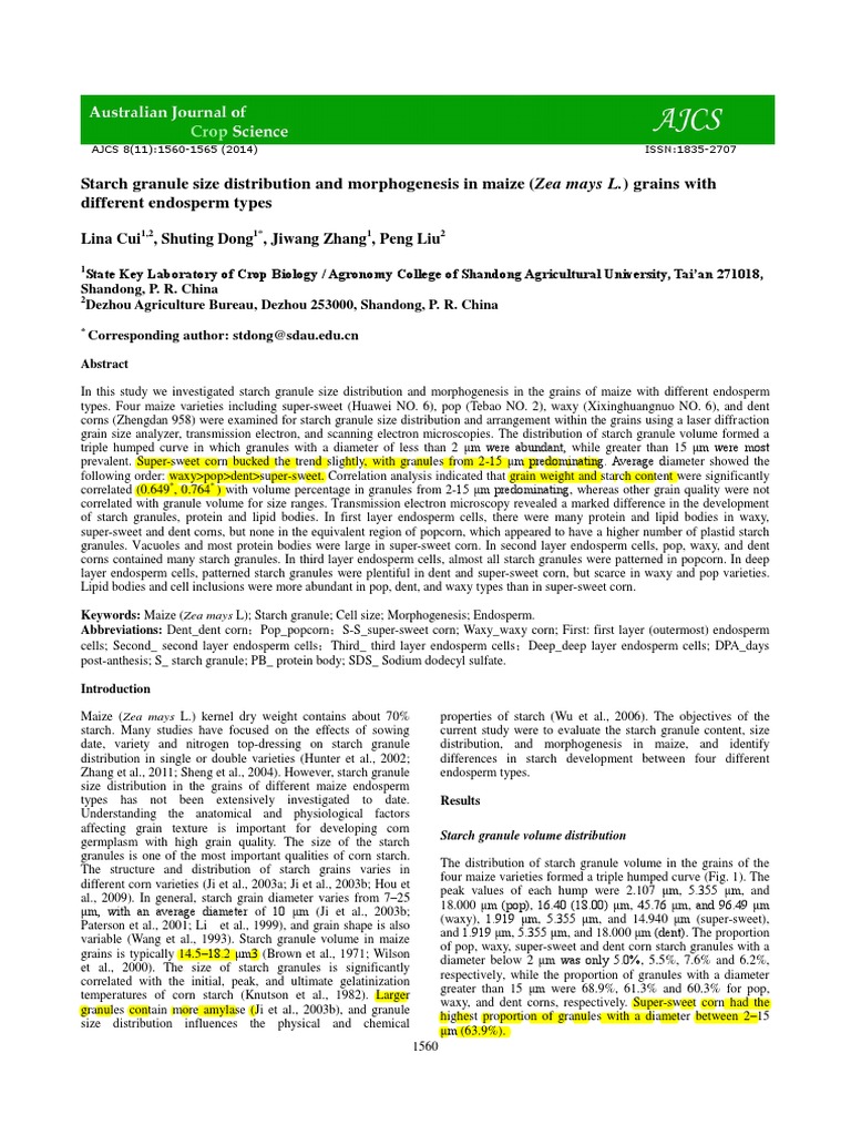 Starch Granule Morphogenesis in Maize | PDF | Maize | Popcorn