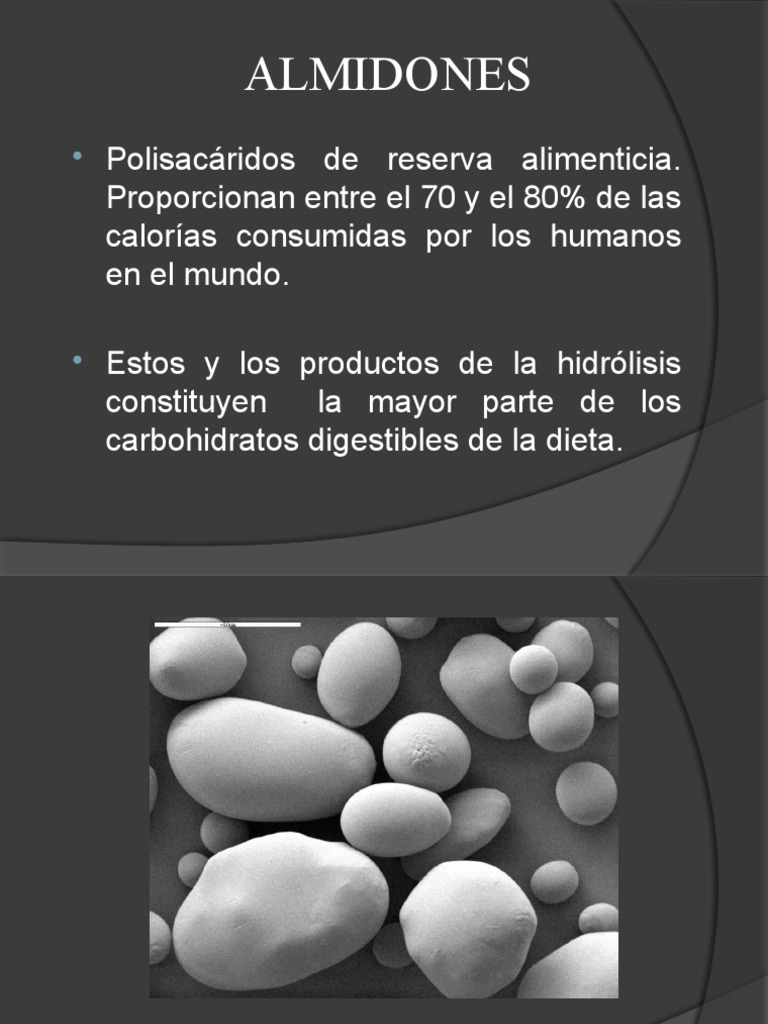 ALMIDON 2 | PDF | Almidón | Sustancias químicas