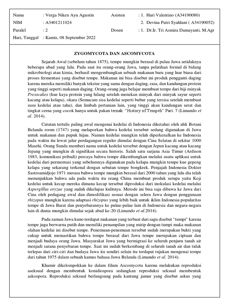 Verga Niken Ayu Agustin - A3401211024 - TM02 - Zygomycota & Ascomycota | PDF