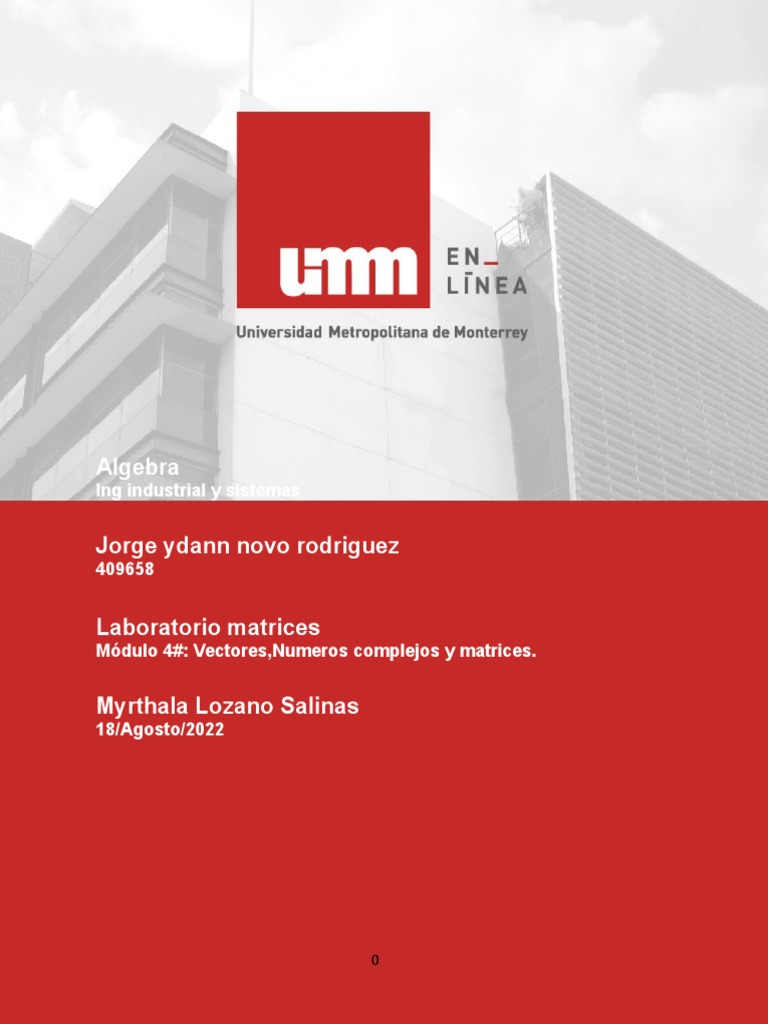 Laboratorio de Matrices y Método 2 | PDF | Matriz (Matemáticas ...