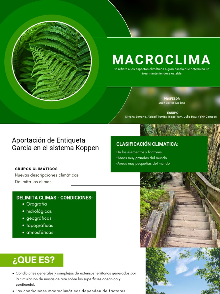 Green Modern Ecology Ecosystem Presentation Template Pdf Clima Tierra