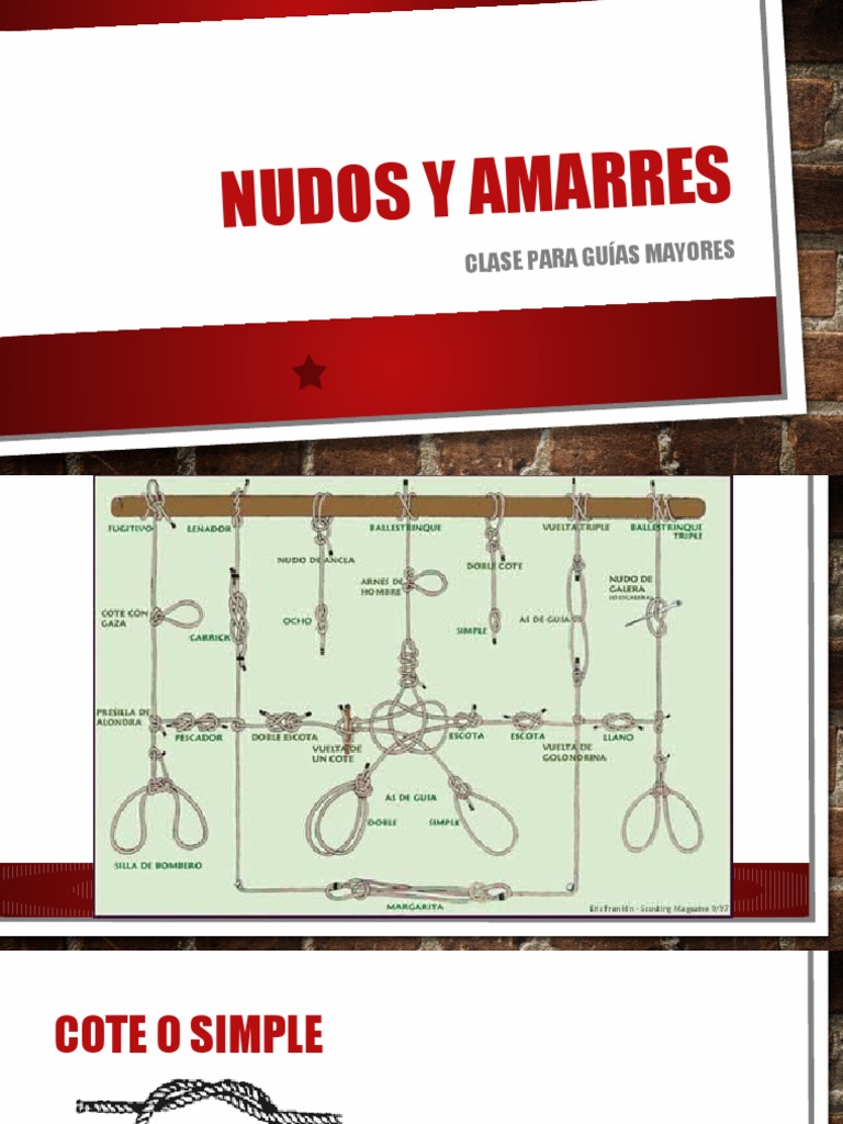 Nudos y amarres para guías mayores: descripción y usos de nudos básicos | PDF | Nudo