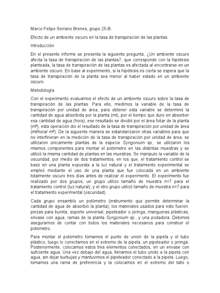 Informe Cientifico II Marco Felipe Serrano Brenes, g25-B | PDF ...