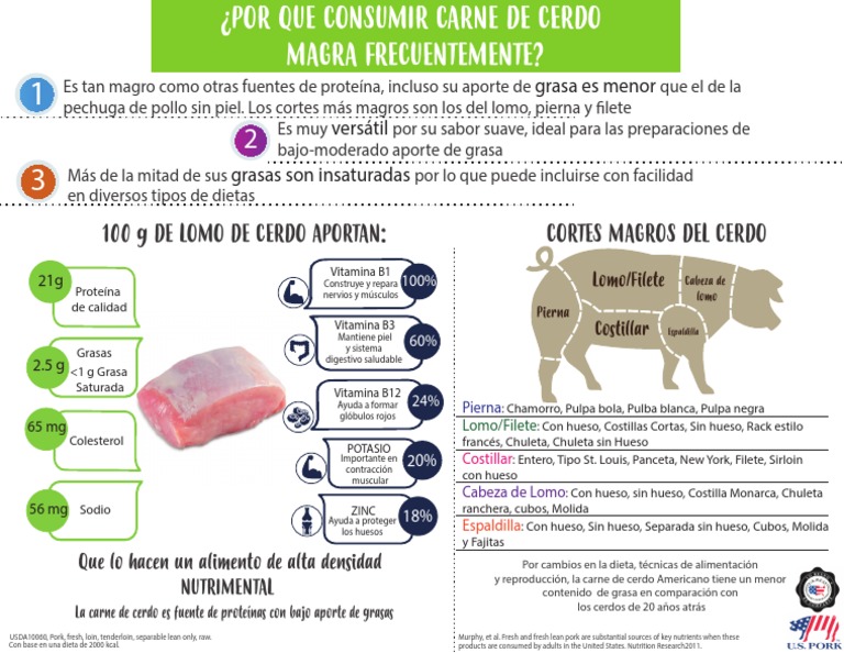 Infografía Carne Puerco | PDF | Carne | filete