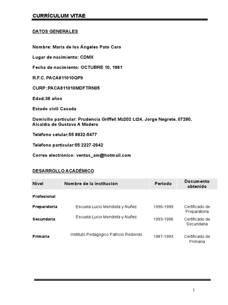 Formato Curriculum | PDF | Ciudad de México | México