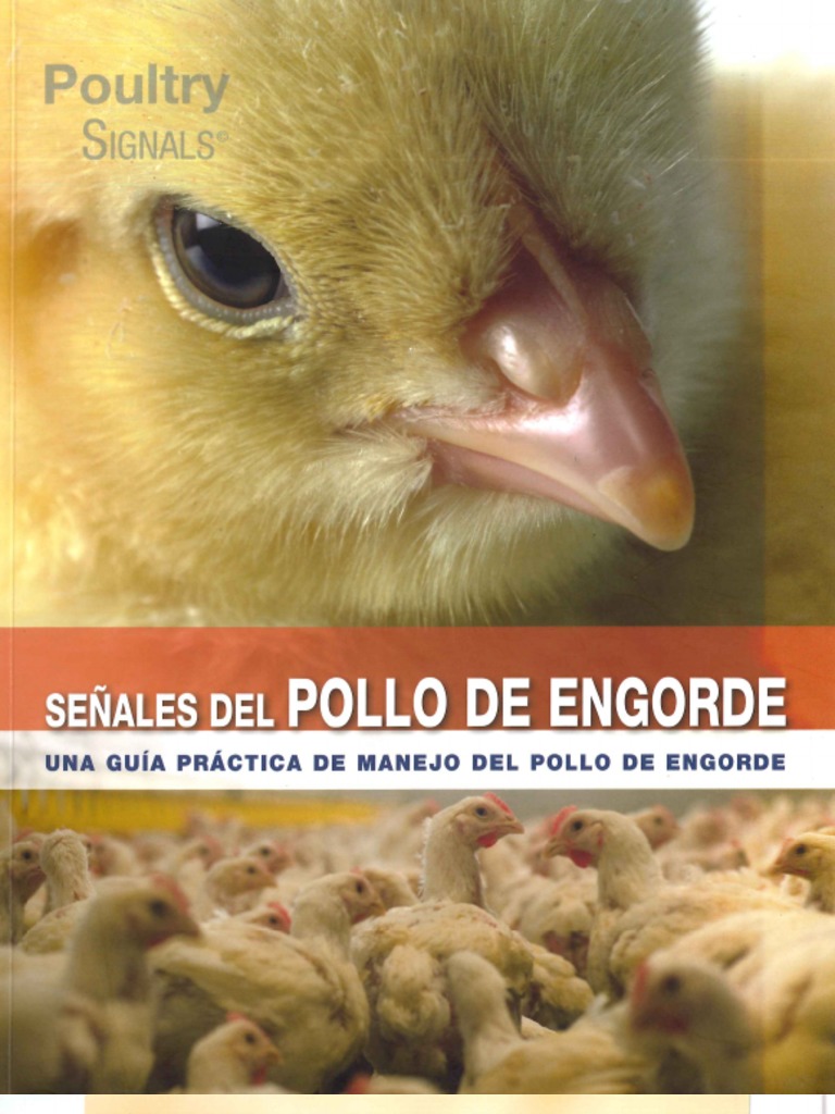 Señales Del Pollo de Engorde Una Guia Practica | PDF