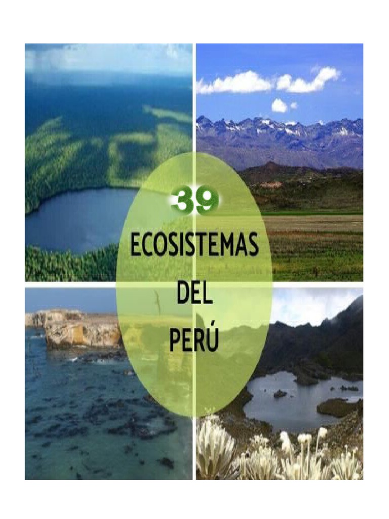 Las 39 Ecosistemas Del Peru | PDF