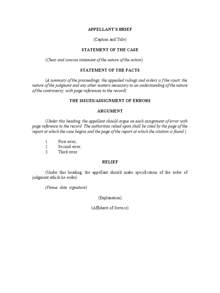 Appellant's Brief | PDF