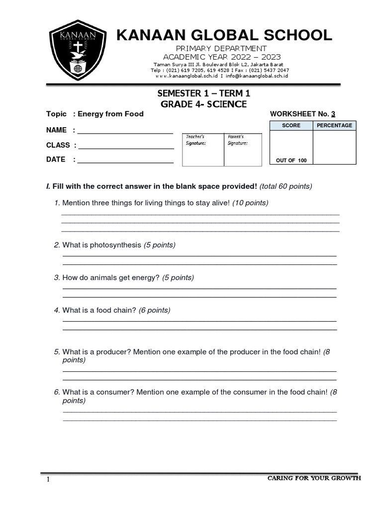 (452.56KB) G4 Science WS3 - Ak | PDF