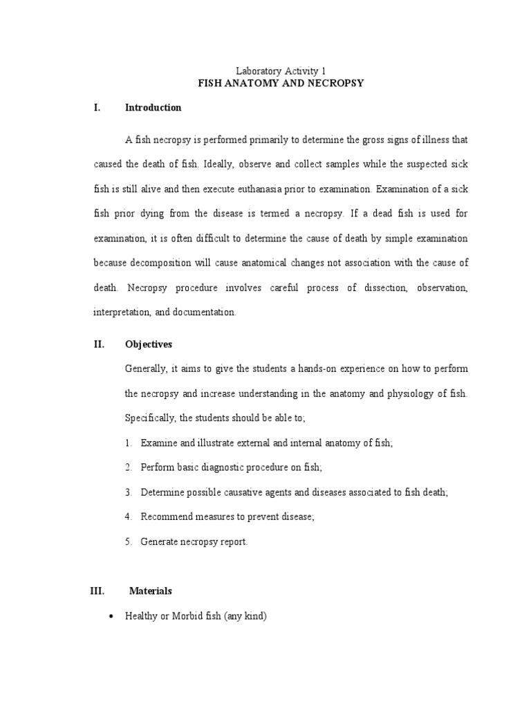 Laboratory Activity Fish Anatomy and Necropsy | PDF | Wellness