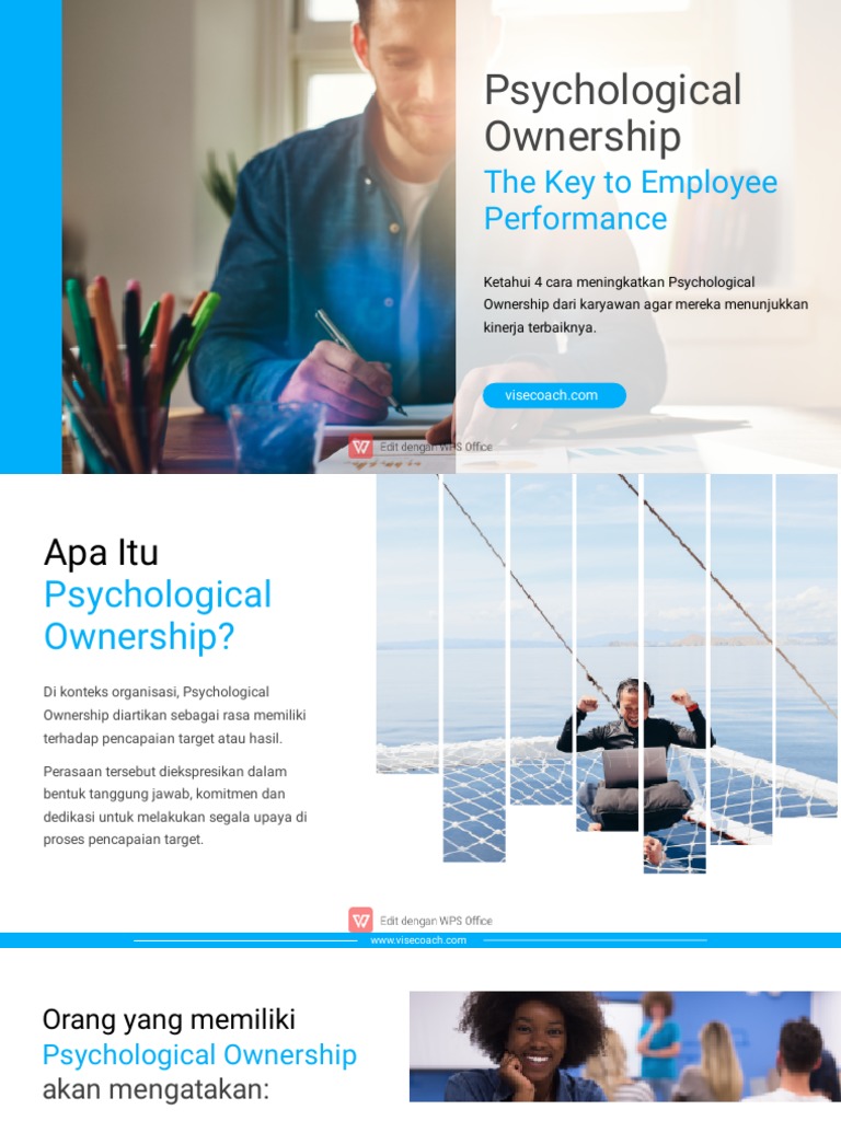 Psychological Ownership | PDF