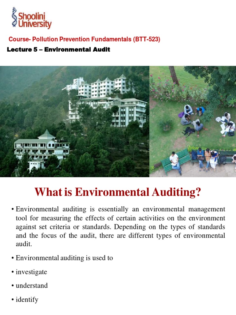 Understanding Environmental Auditing: A Systematic Examination of ...