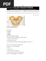 Anatomi dan Fungsi Pelvis Manusia | PDF
