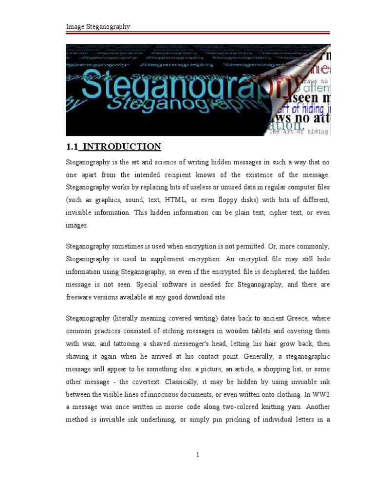 Image Steganography | PDF | Software Testing | Data Compression