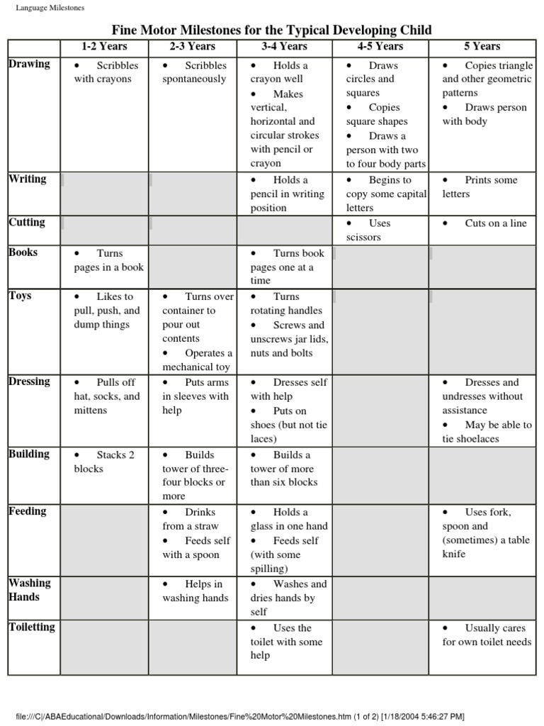 Fine Motor Milestones For The Typical Developing Child | PDF ...