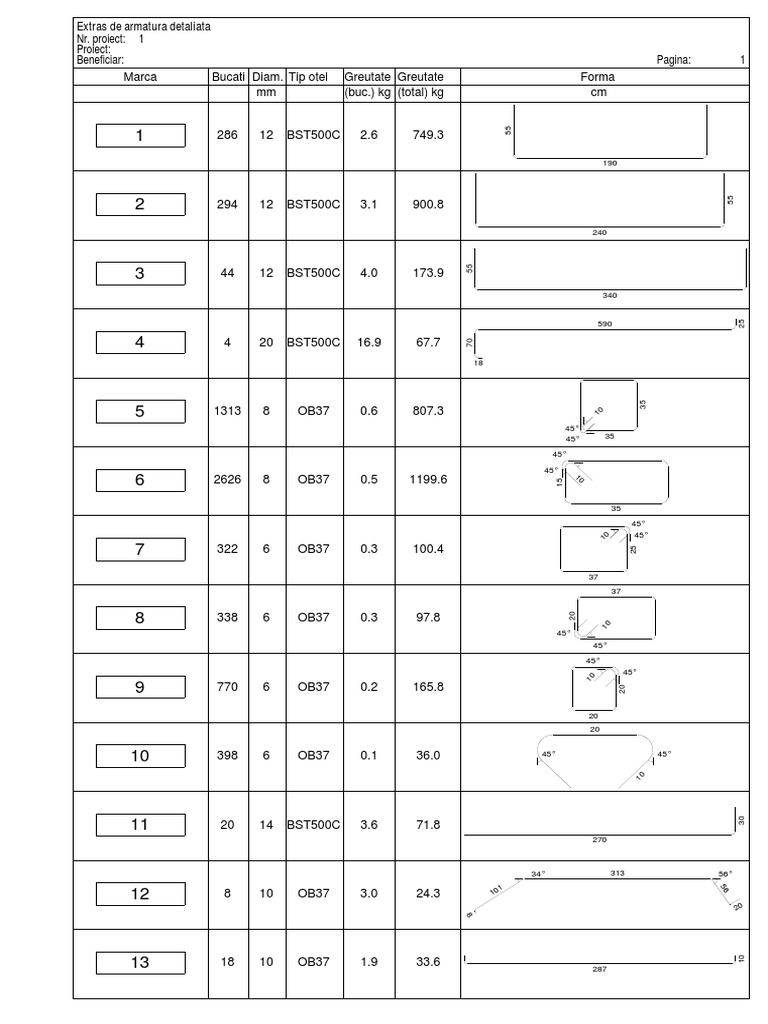 Extras de Armatura Cu Forma Complet | PDF