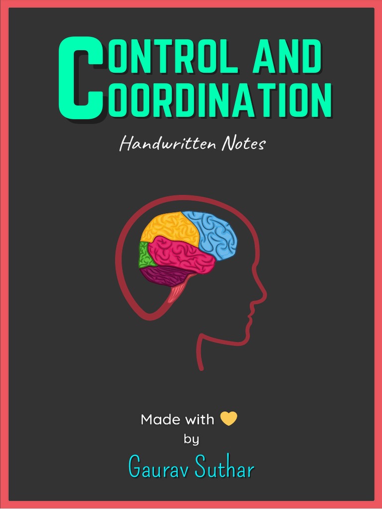 Control & Coordination Notes | PDF | Nervous System | Brain