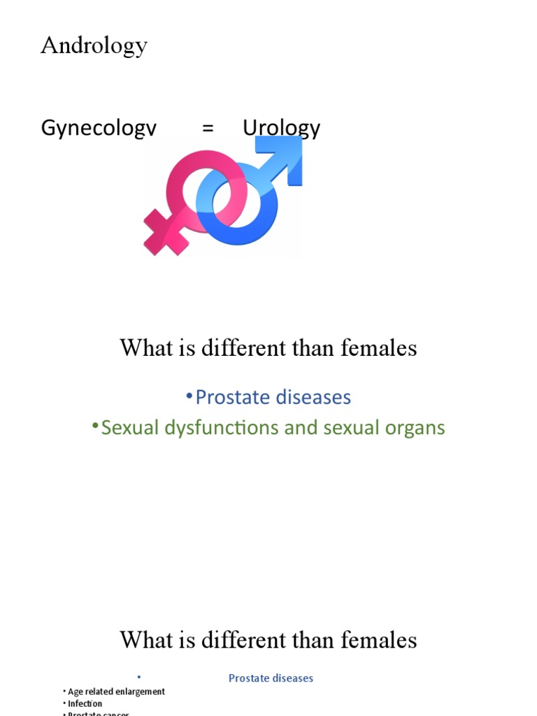 Andrology | PDF | Prostate | Testicle