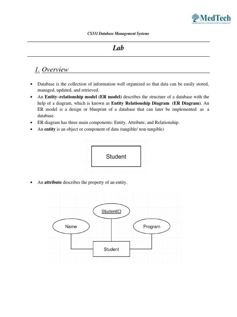 CS331-Lab 1 | PDF | Databases | Software Engineering