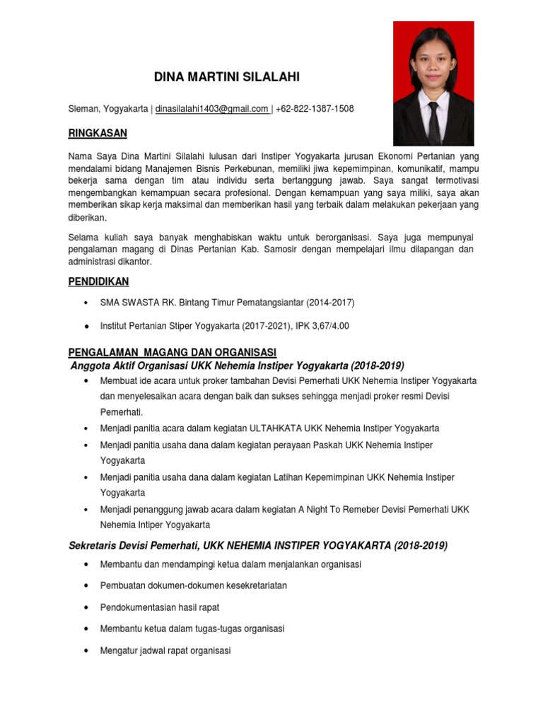 CV - Dina Martini Silalahi | PDF