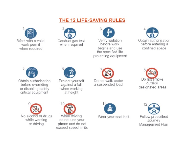 The 12 Life Saving Rules | PDF