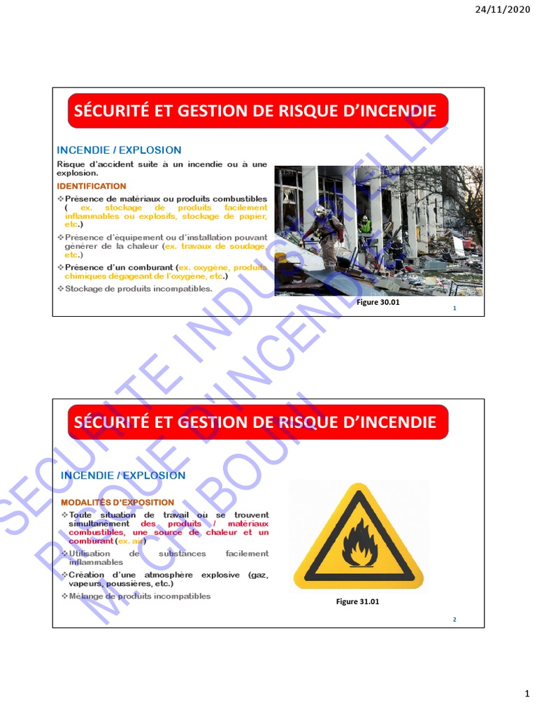 Risque Incendie | Descargar gratis PDF | La nature | Sciences physiques