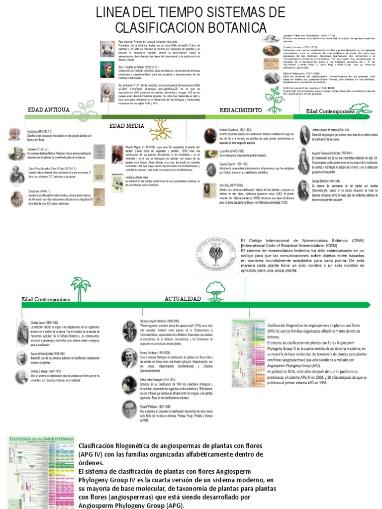 Linea Del Tiempo Sistemas de Clasificacion Botanica | PDF | Taxonomía (biología) | Plantas
