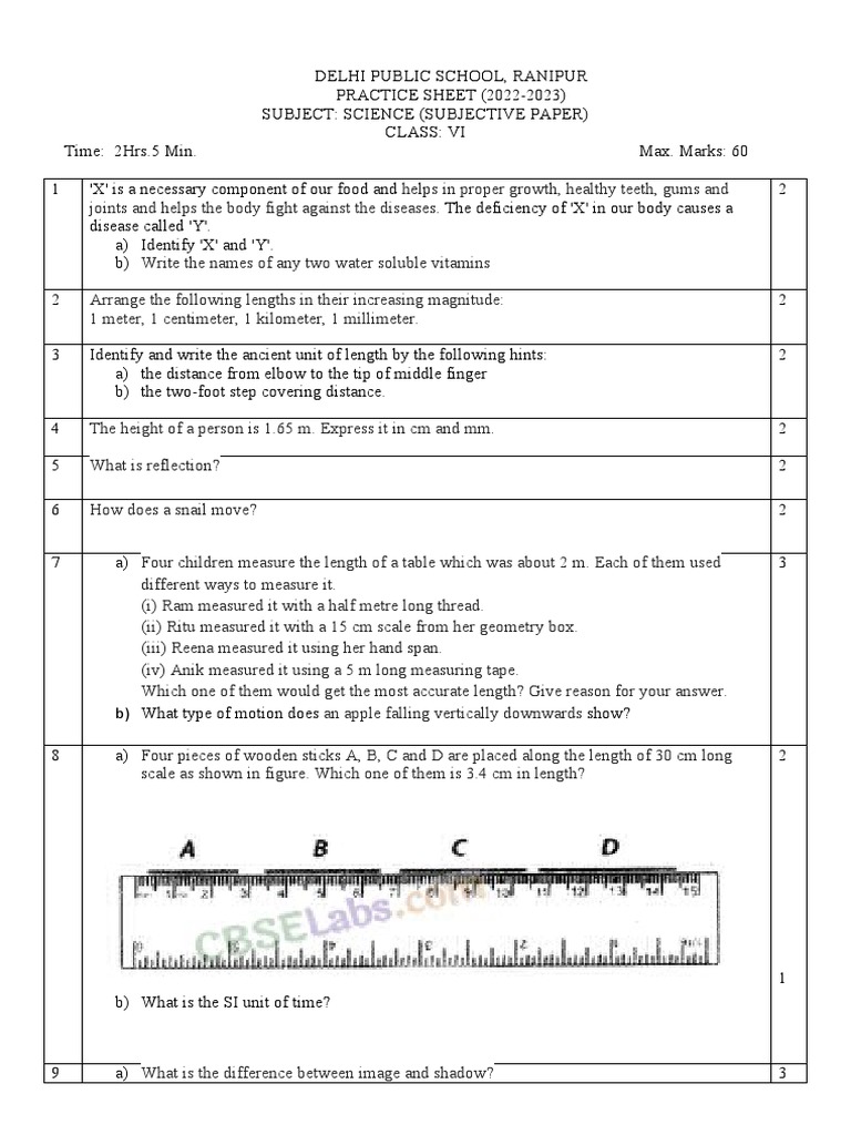Science Practice Paper Class Vi 202223 | PDF | Fish | Foods
