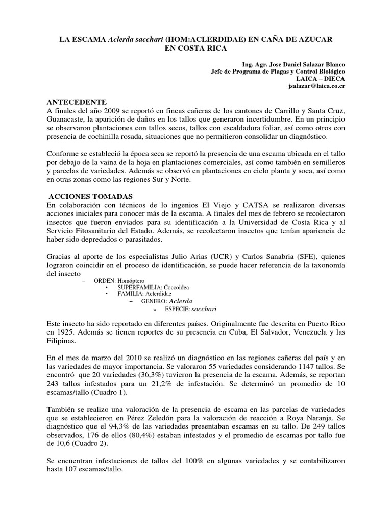 Infestación de escama Aclerda sacchari en caña de azúcar | PDF ...
