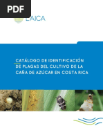 Mosca Pinta-1 | PDF | Control biológico de plagas | Plaga (organismo)
