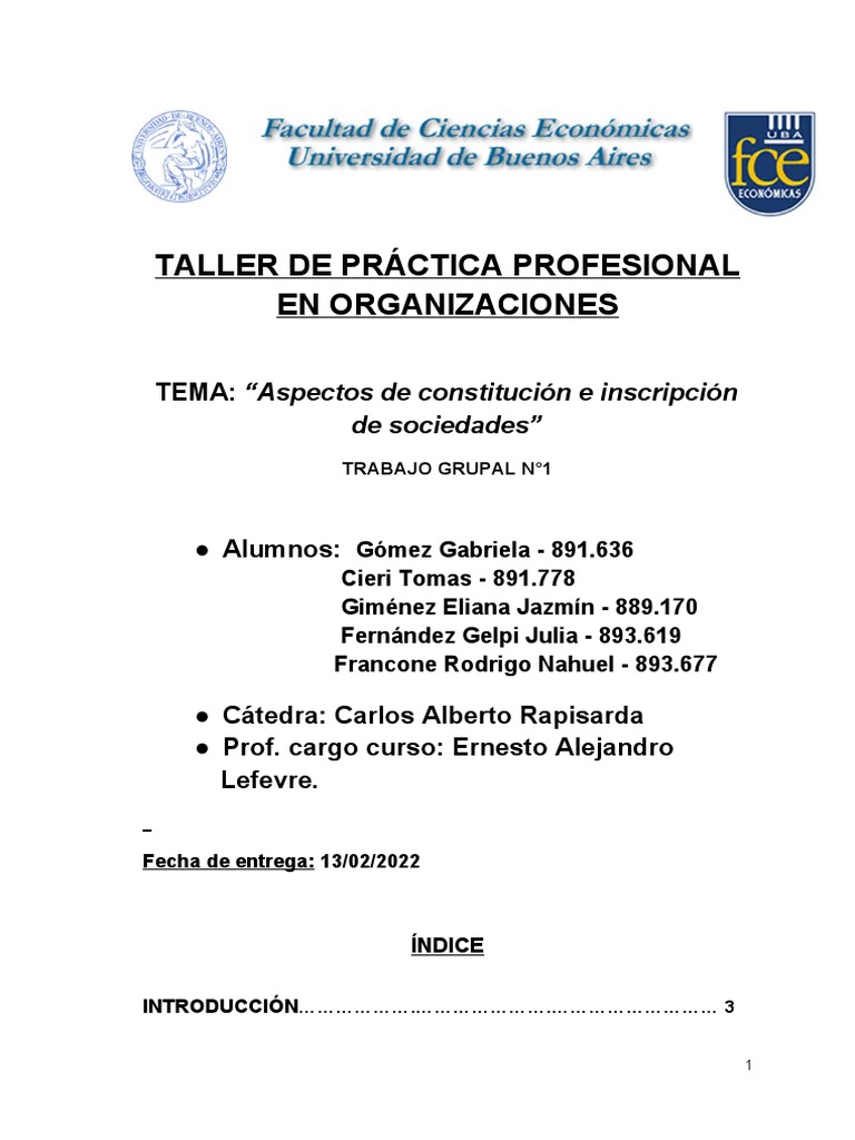 TPN1 - GRUPAL Taller Práctica Prof. en Organzaciones | PDF | Pequeñas y medianas empresas ...